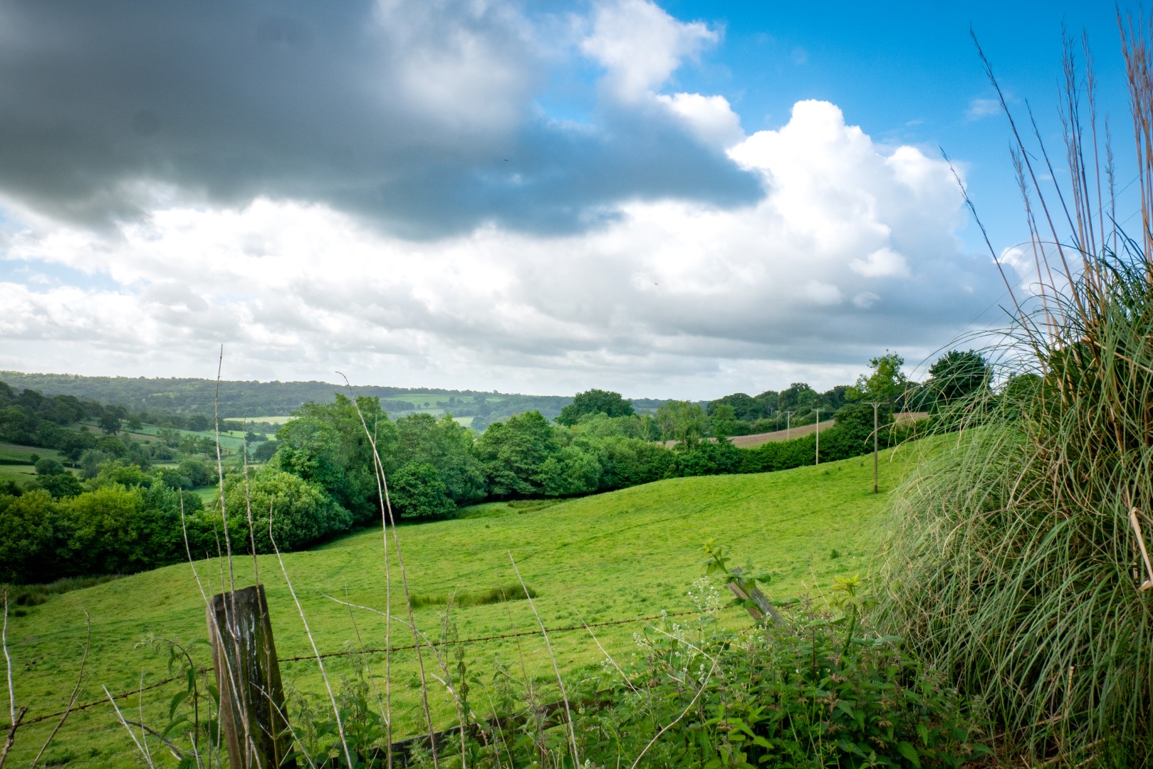 The Blackdown Hills – Half Moon Devon